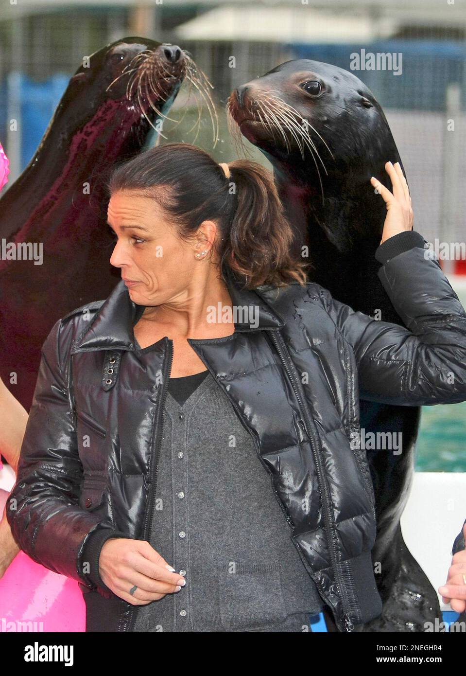 Princess Stephanie of Monaco poses with two eared seals as she presents ...
