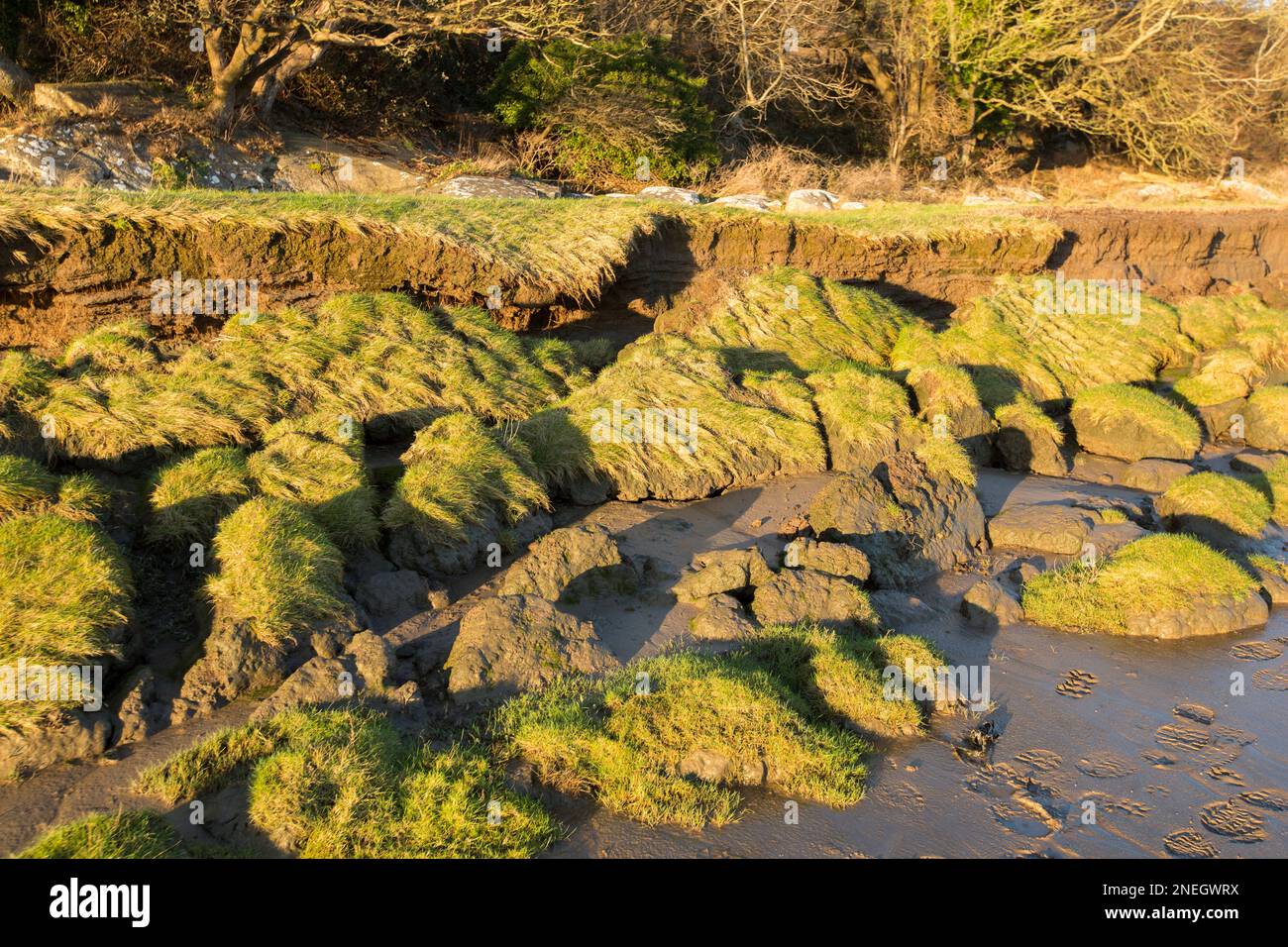 Salt marsh erosion hi-res stock photography and images - Alamy