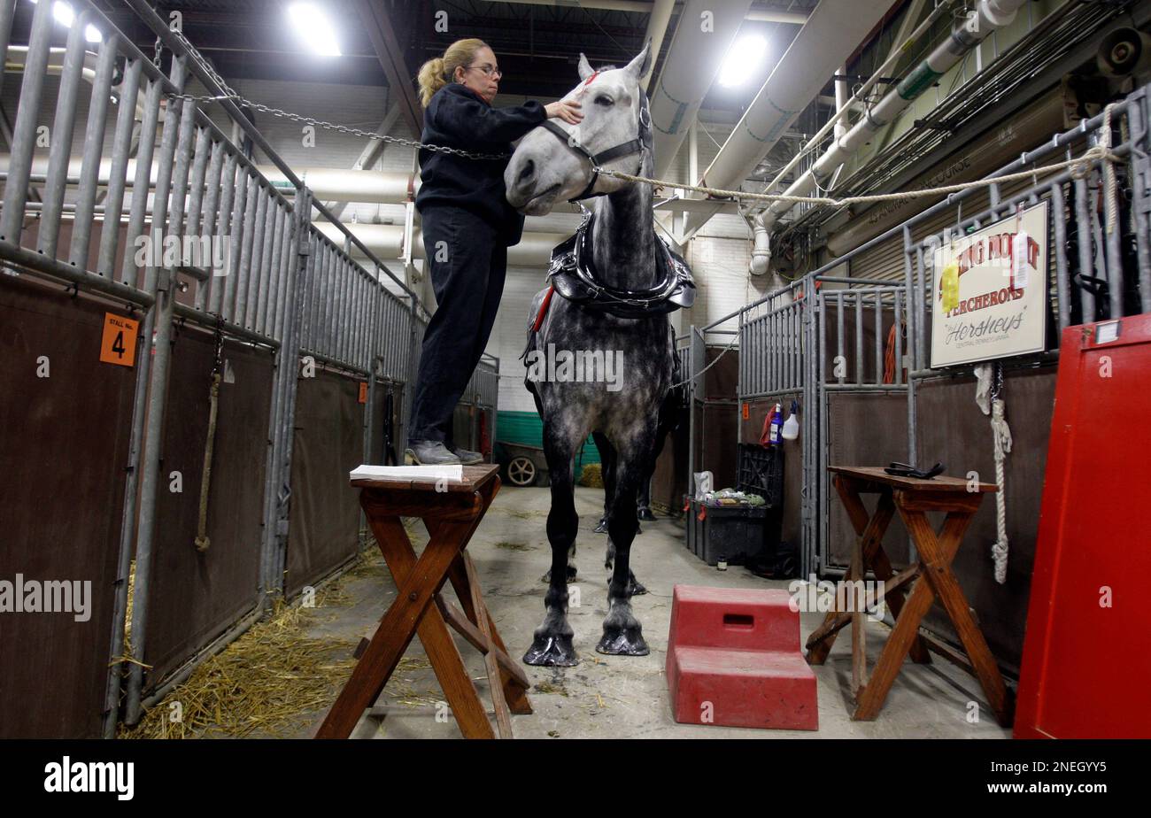 Jennifer Markley from Warriors Mark, Pa., climbs a ladder to tie bows ...