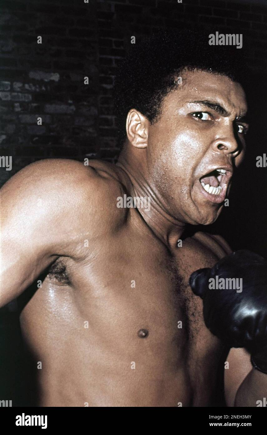 Heavyweight champion Muhammad Ali in fighting stance in 1975. (AP Photo ...