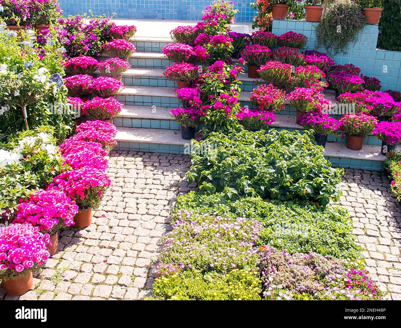 Multy color garden hi-res stock photography and images - Alamy