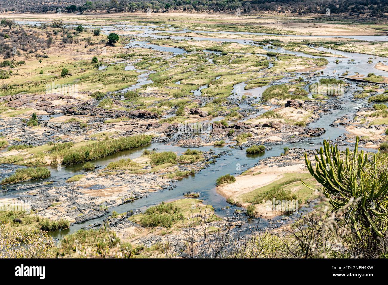 Limpopo (Olifants River) in Kruger National Park, South Africa Stock ...