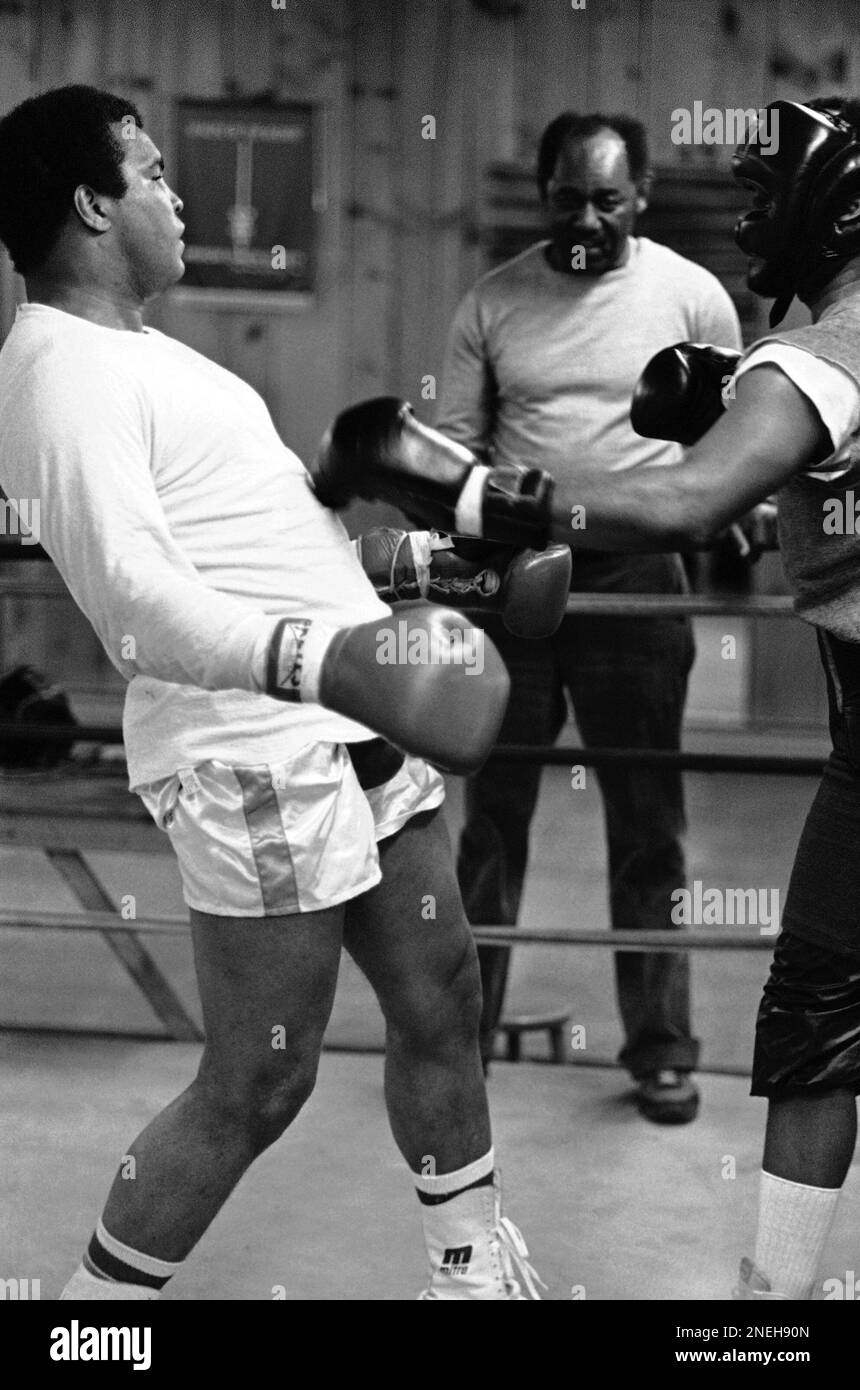 Muhammad Ali stands in the ring at his training camp in Deer Lake, Pa ...
