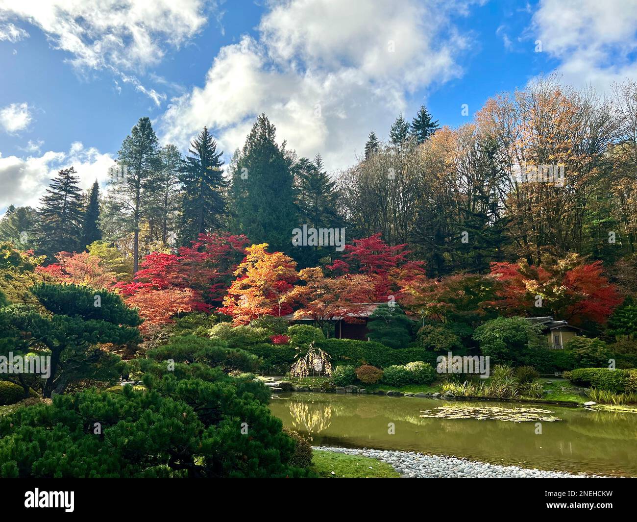 Seattle Japanese garden in the fall, 2022 Stock Photo - Alamy