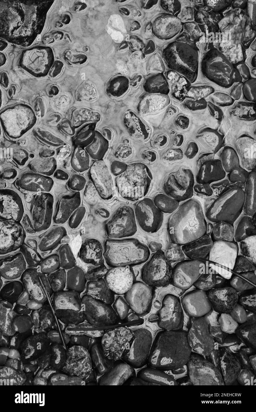 Shallow water full of river rocks and stones in a black and white ...