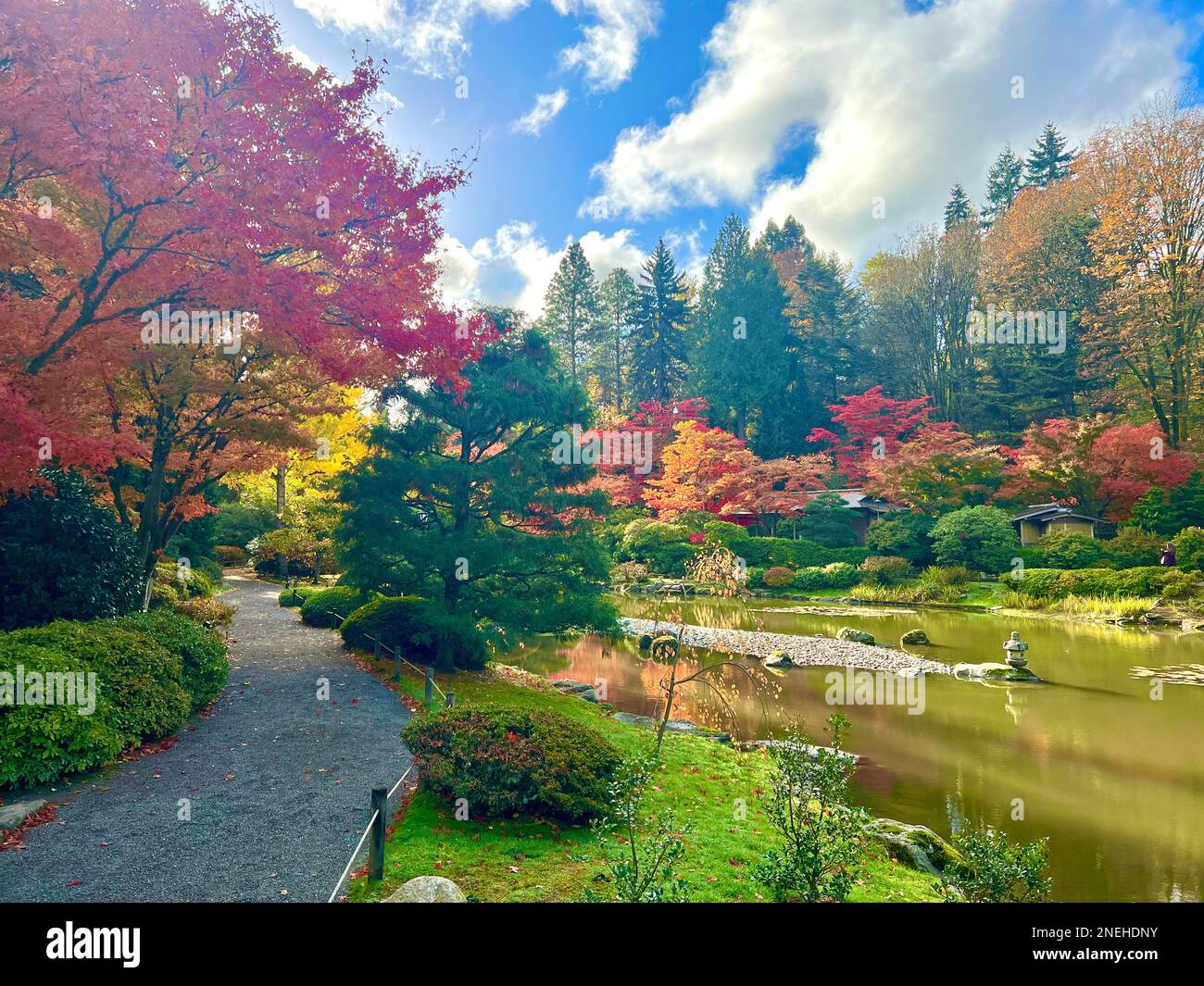 Seattle Japanese garden in the fall, 2022 Stock Photo - Alamy