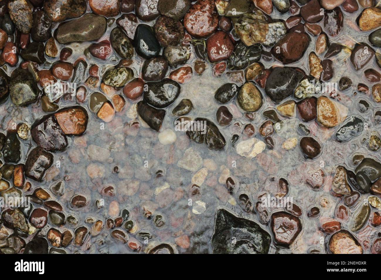 Shallow water full of river rocks and stones Stock Photo - Alamy