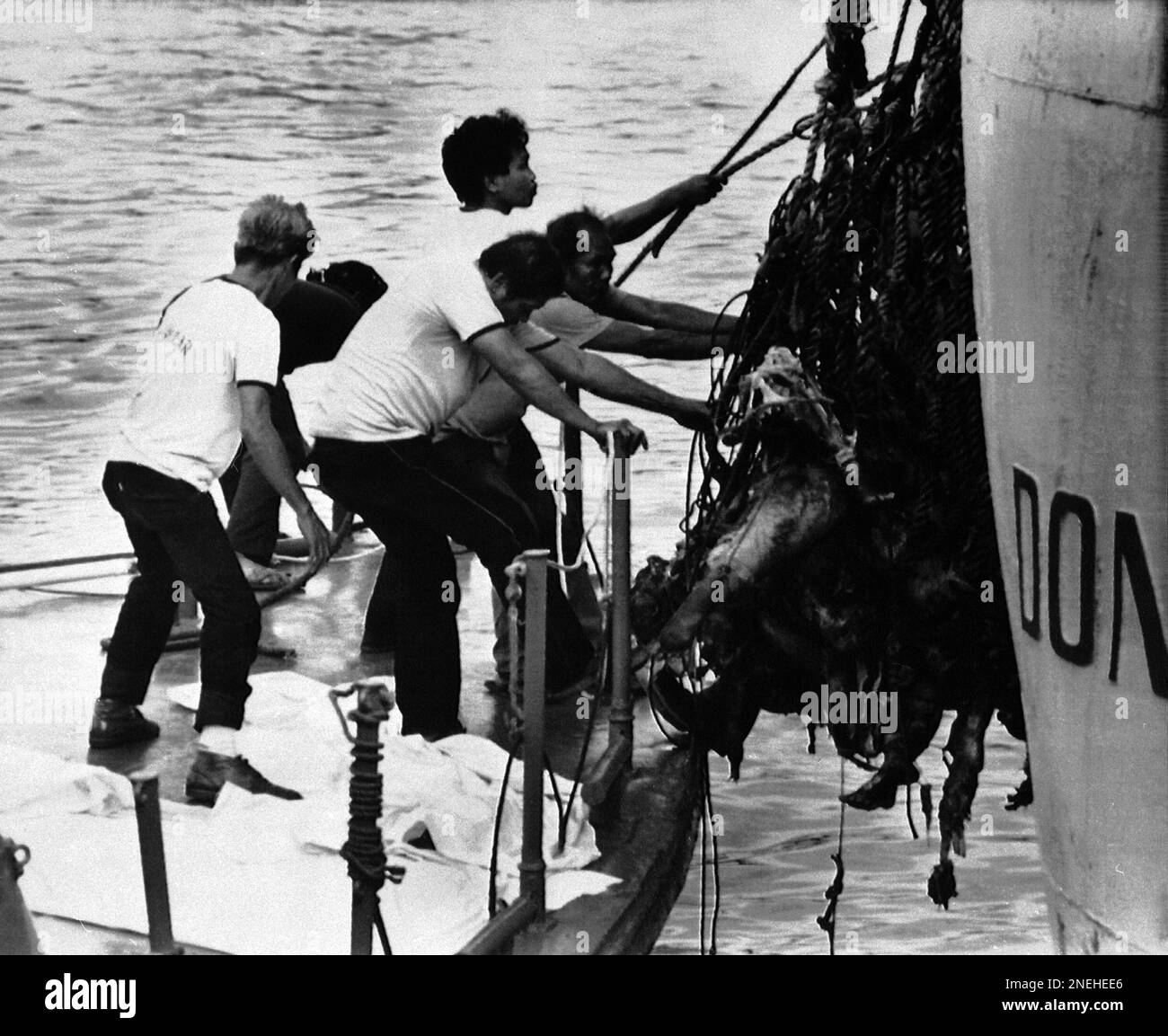 Philippine Coast Guards unload bodies of victims of the sea collision ...