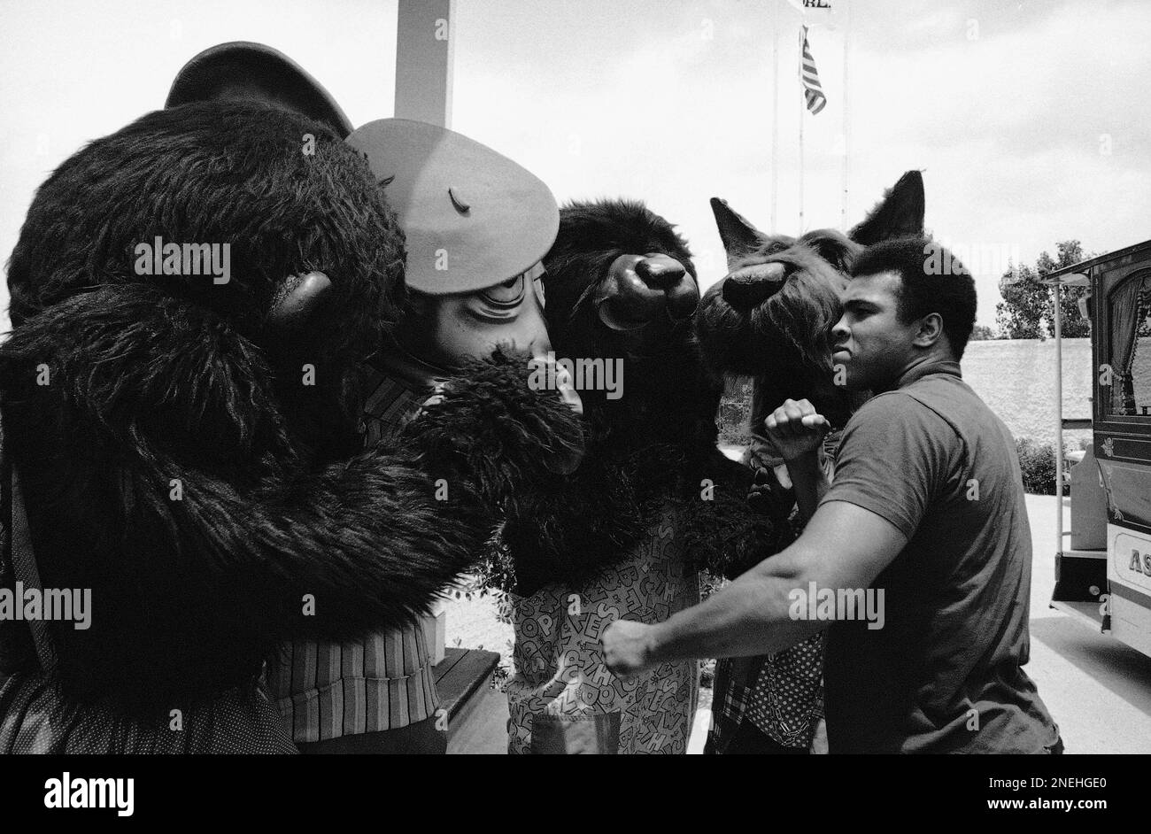 When Muhammad Ali decided to take the day off from training and visit ...