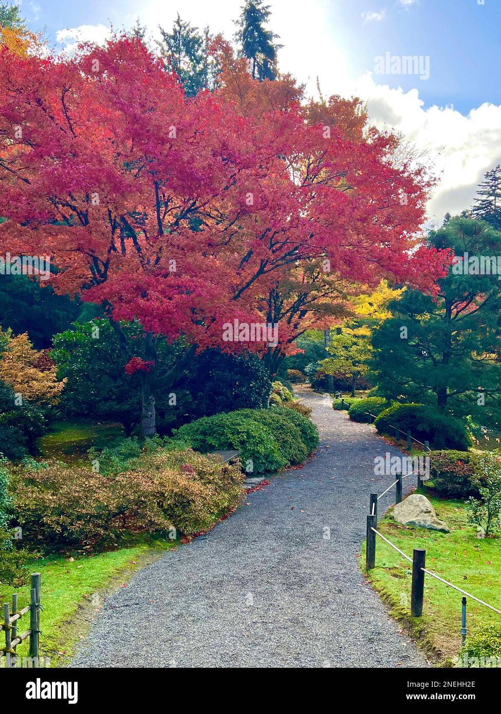 Seattle Japanese garden in the fall, 2022 Stock Photo - Alamy