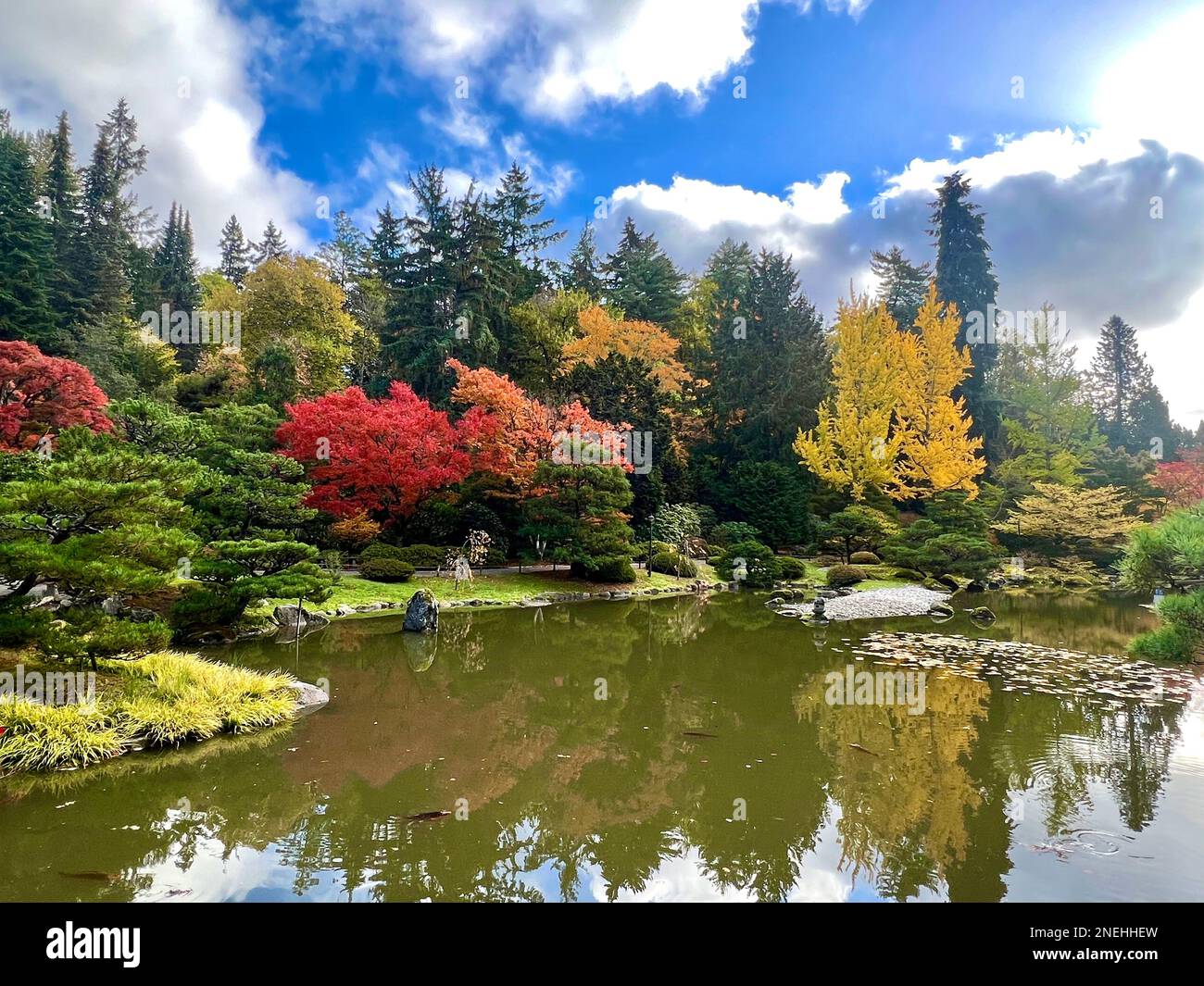 Seattle Japanese garden in the fall, 2022 Stock Photo - Alamy