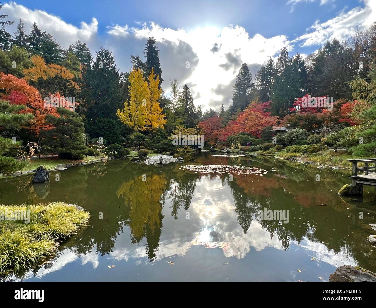 Seattle Japanese garden in the fall, 2022 Stock Photo - Alamy