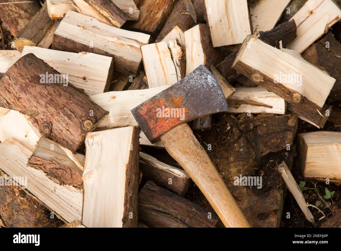 Logs that have been split with an axe that will be placed in a ...