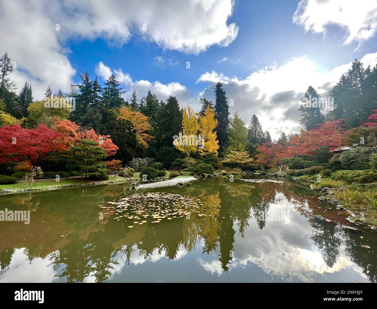 Seattle Japanese garden in the fall, 2022 Stock Photo - Alamy