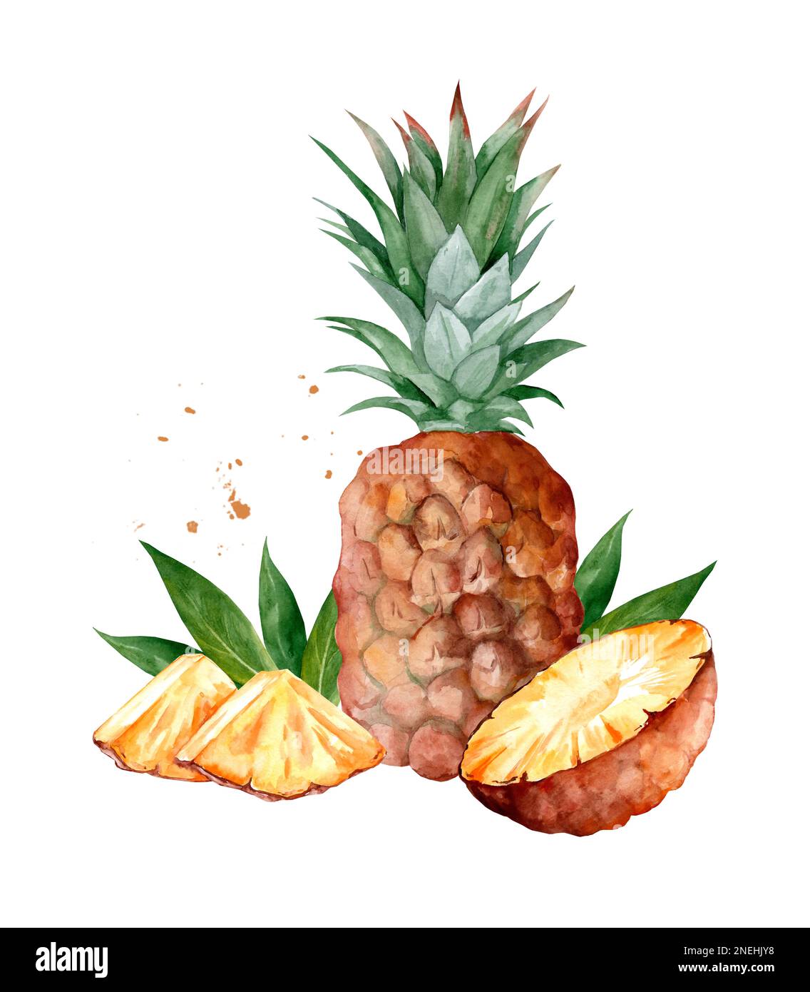Pineapple Slice Illustration
