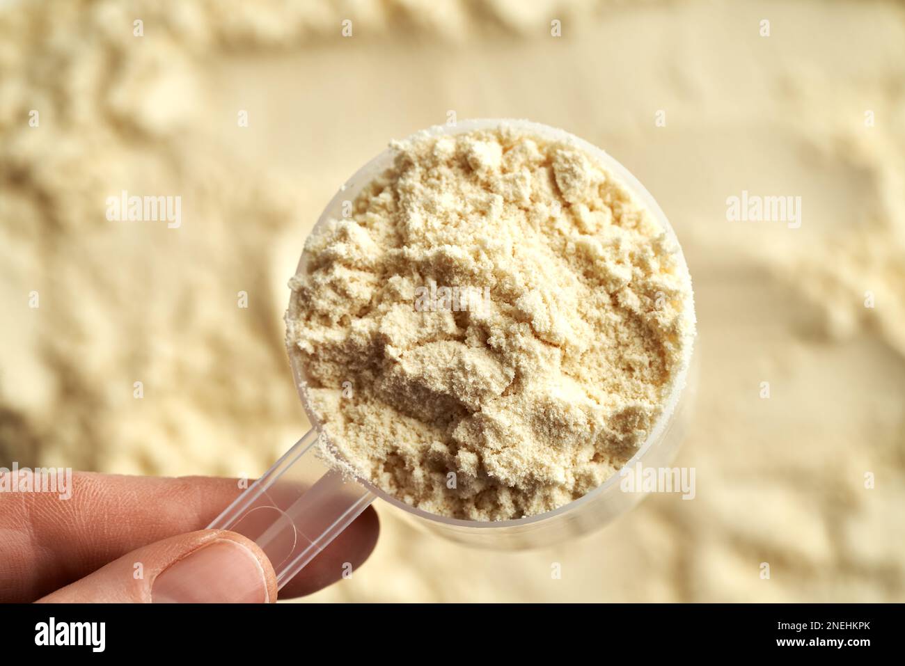 Whey protein powder in a plastic measuring spoon, top view. Healthy ...