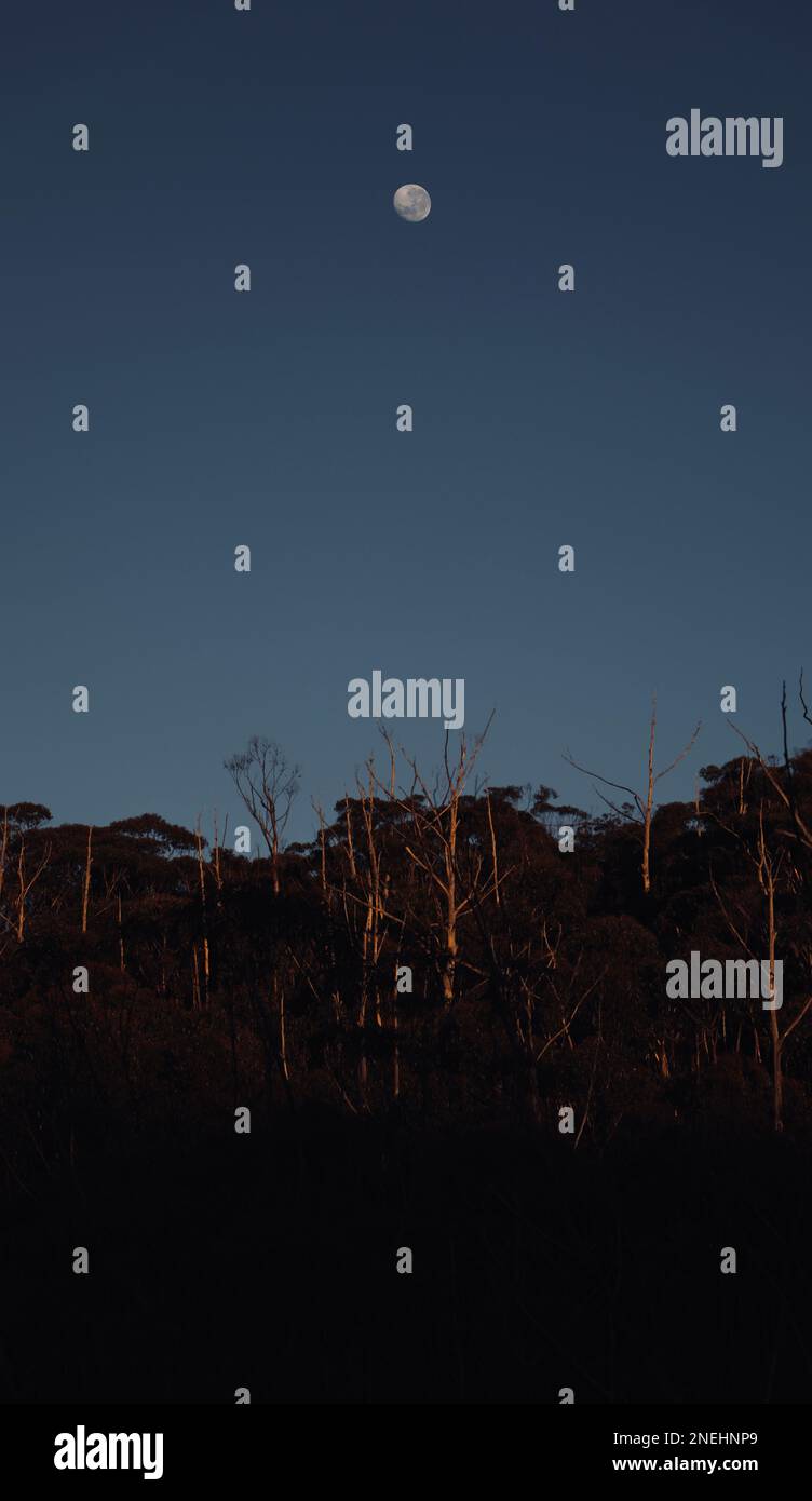 Moon rise australia hi-res stock photography and images - Alamy