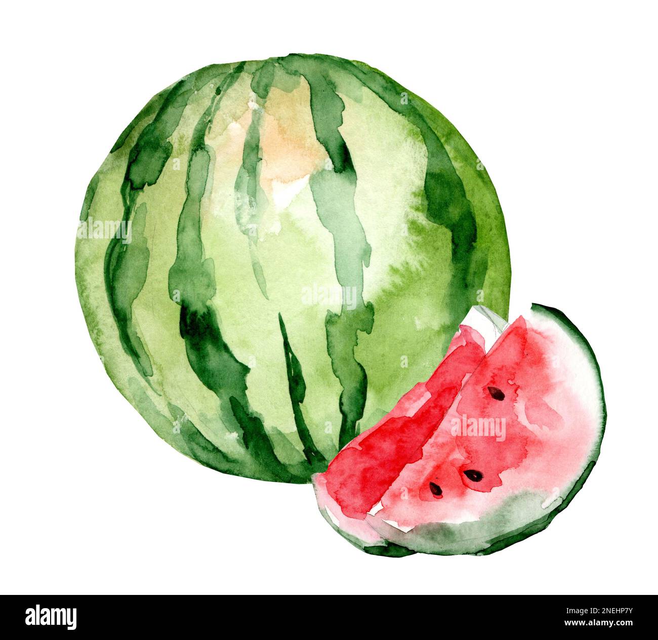 Hand drawn watercolor painting isolated on white background. hand drawn ...