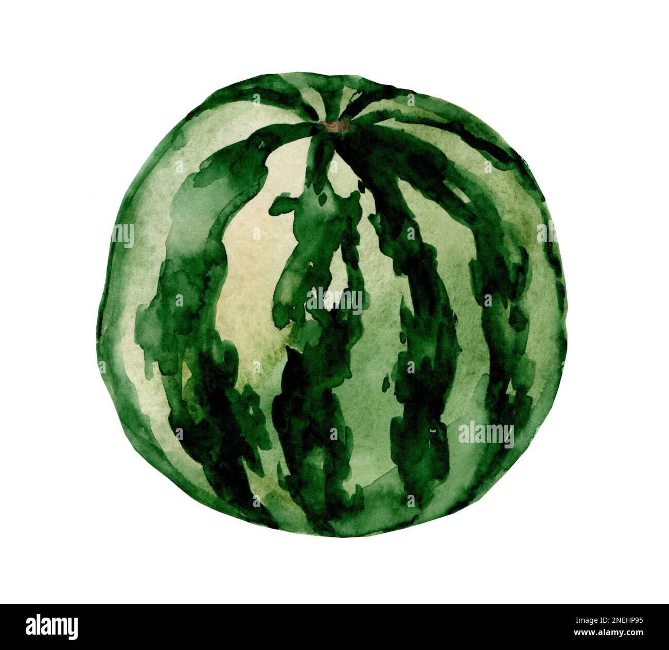 Hand drawn watercolor painting isolated on white background. hand drawn ...