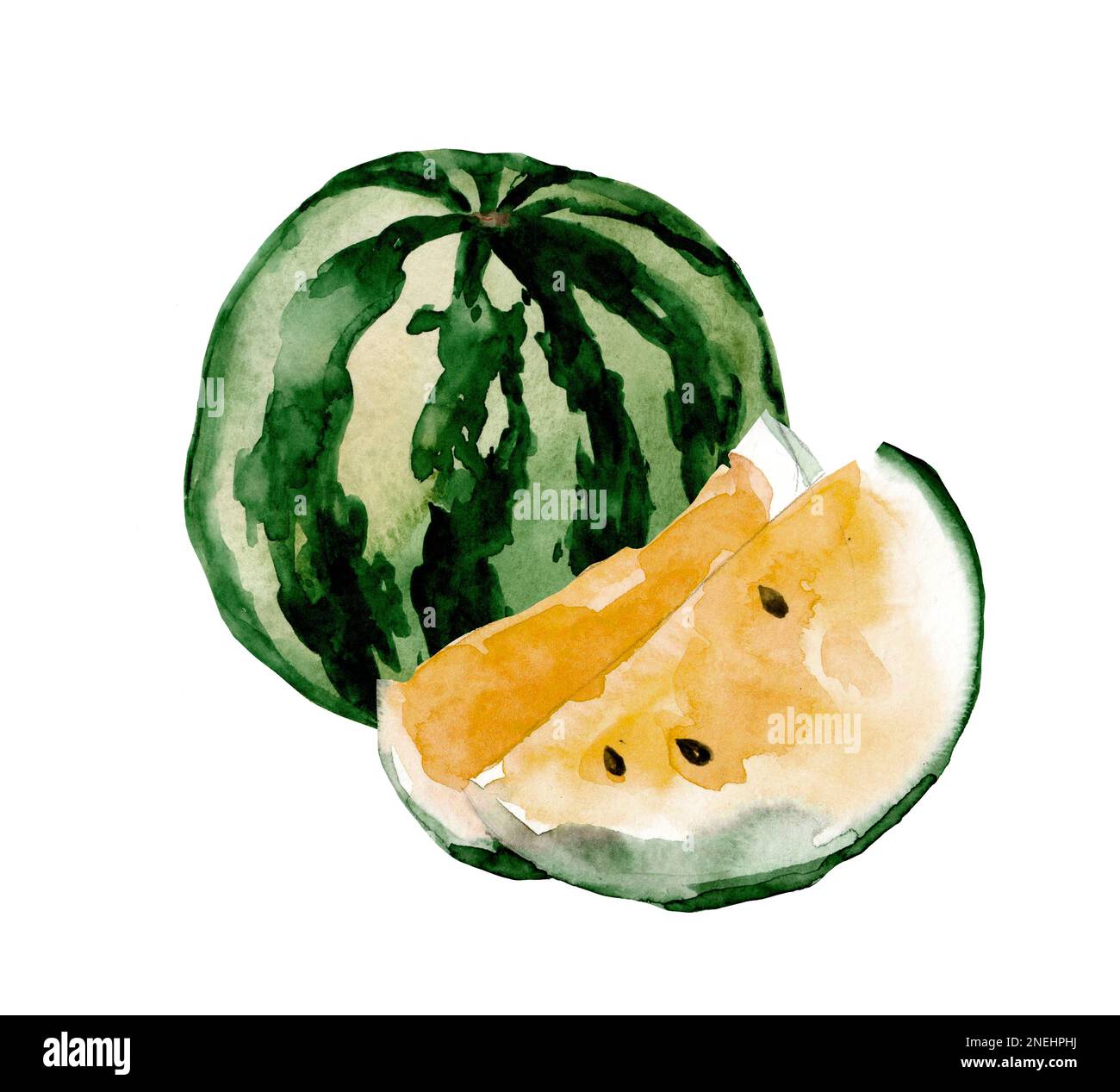 Whole and sliced ripe yellow watermelon with green leaves. Watercolor ...