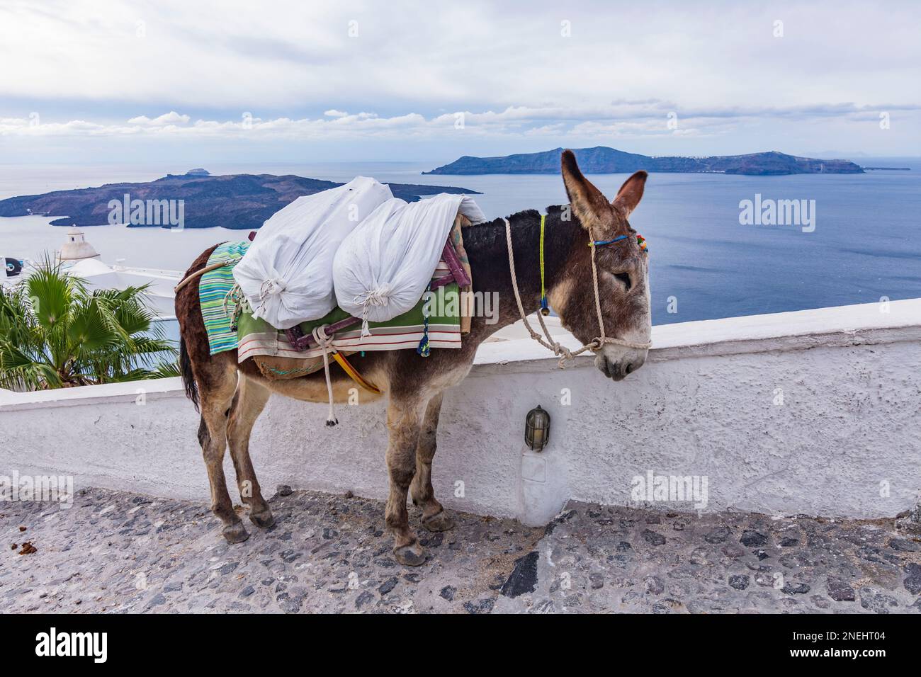 Loaded donkey, Greece Stock Photo - Alamy