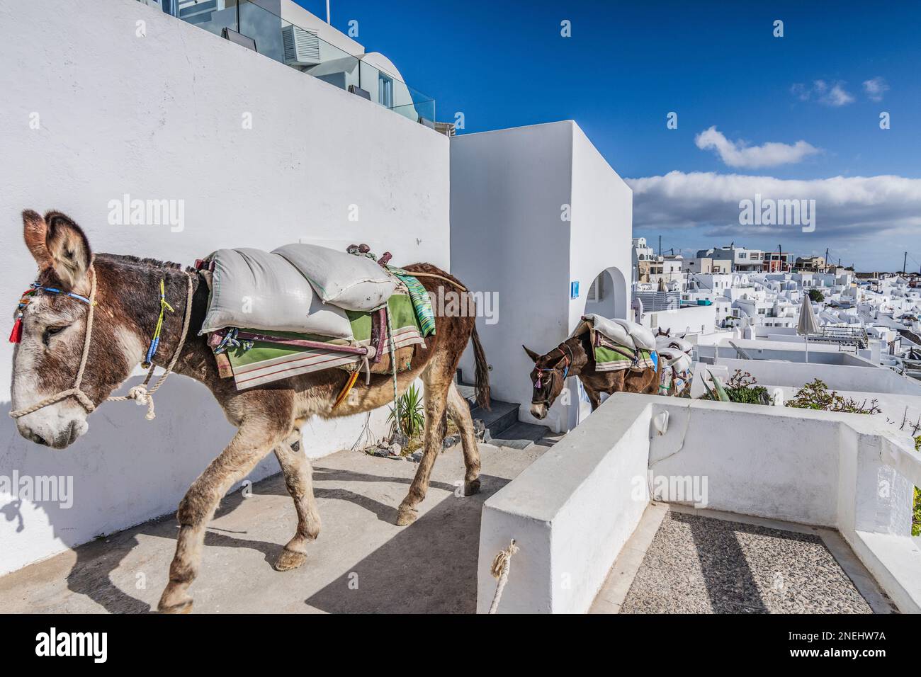 Donkeys carrying construction material, Santorini Stock Photo - Alamy