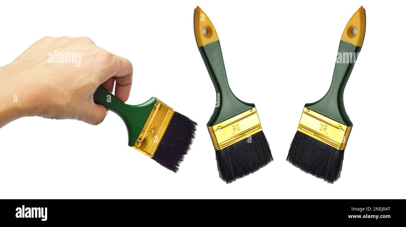Paint brushes on white background, paint tools Stock Photo - Alamy
