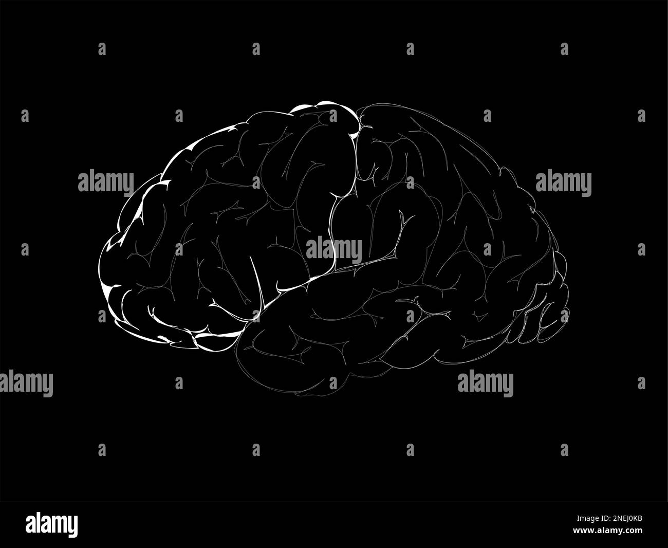 Brain sketch icon isolated over black background, human brain vector ...