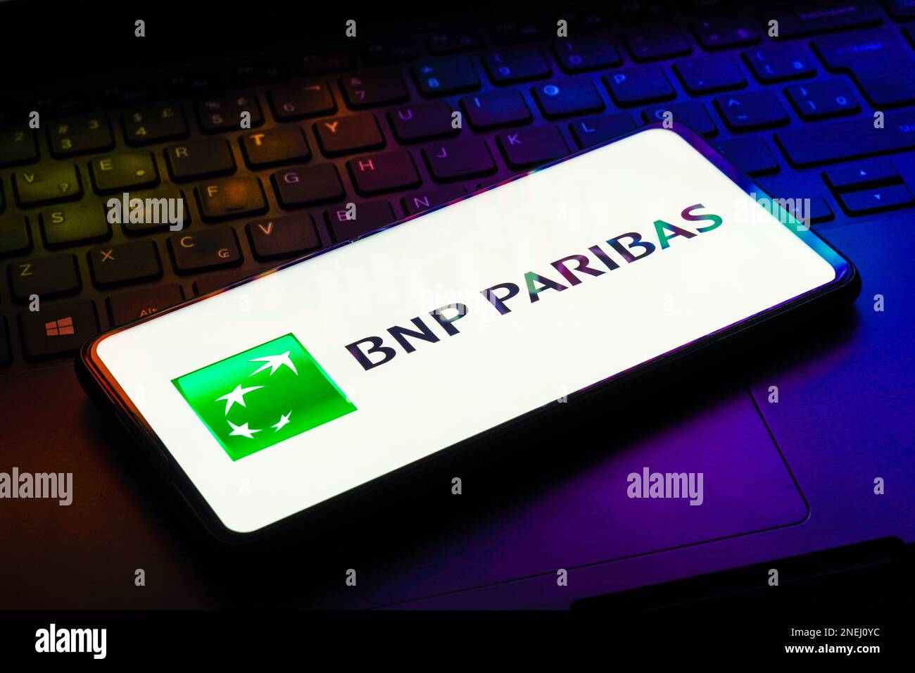 In this photo illustration the BNP Paribas logo seen displayed on a ...