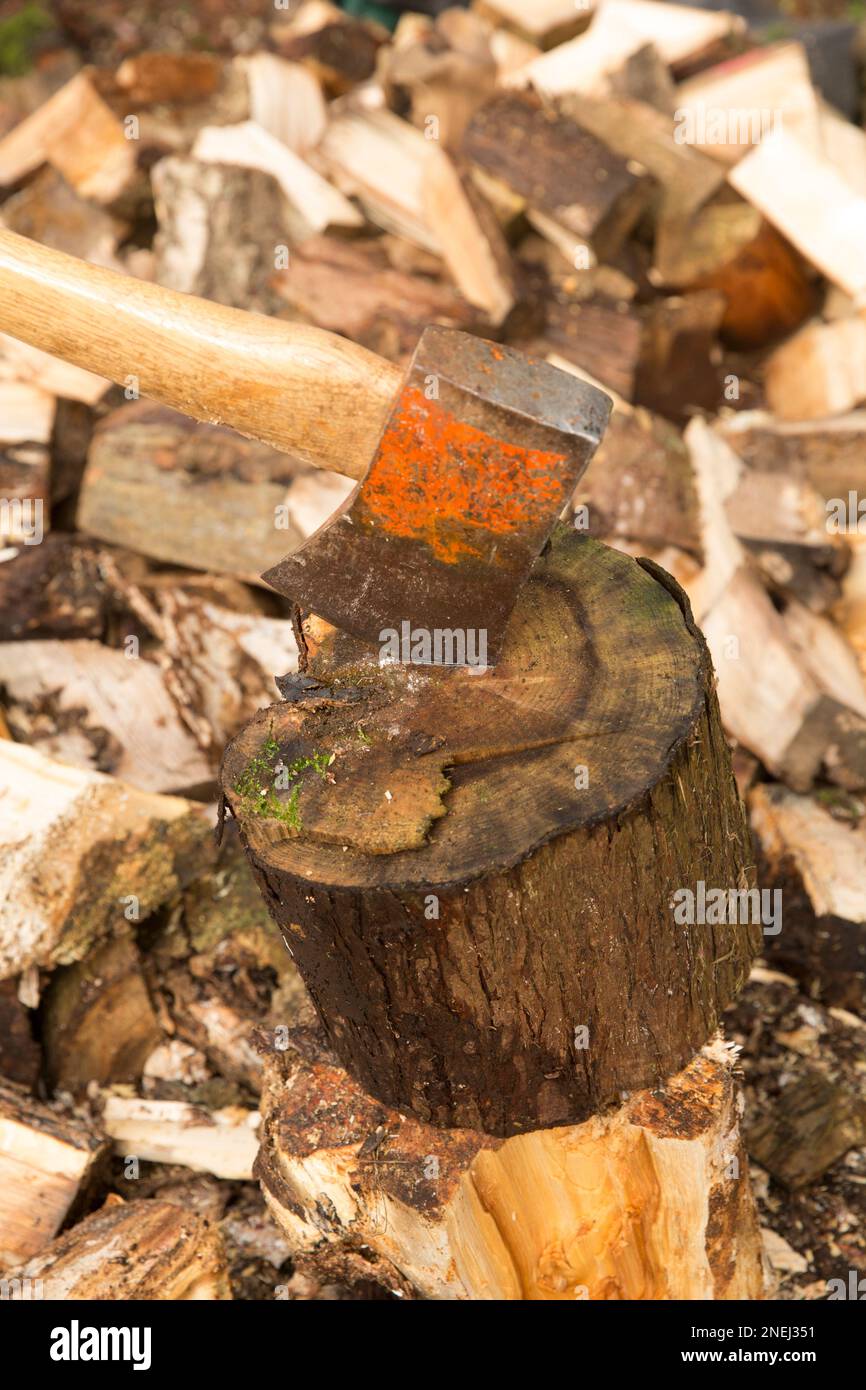 Logs that have been split with an axe that will be placed in a ...