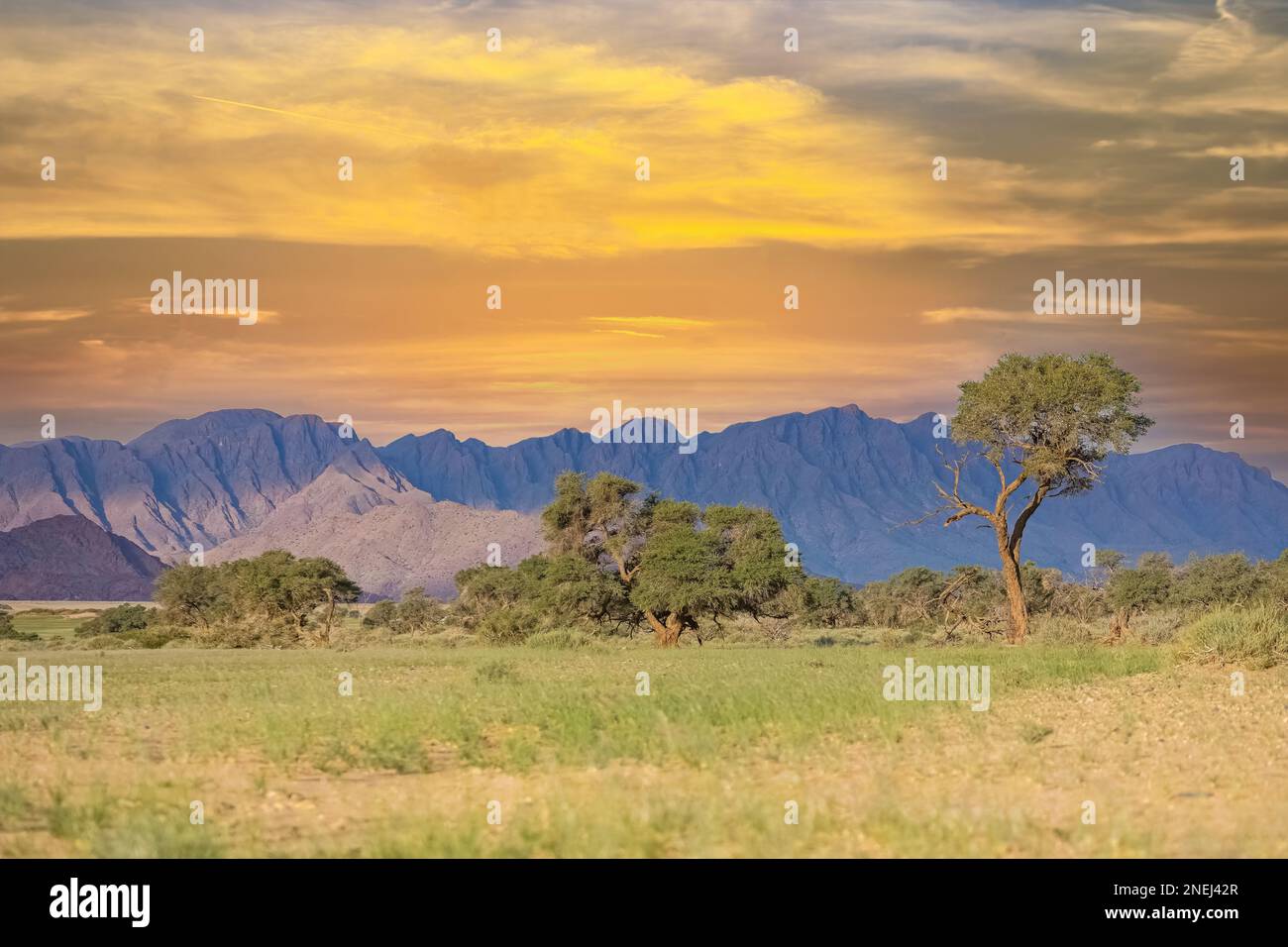 Namibia, panorama of the sunset on the Namib desert, wild landscape in ...
