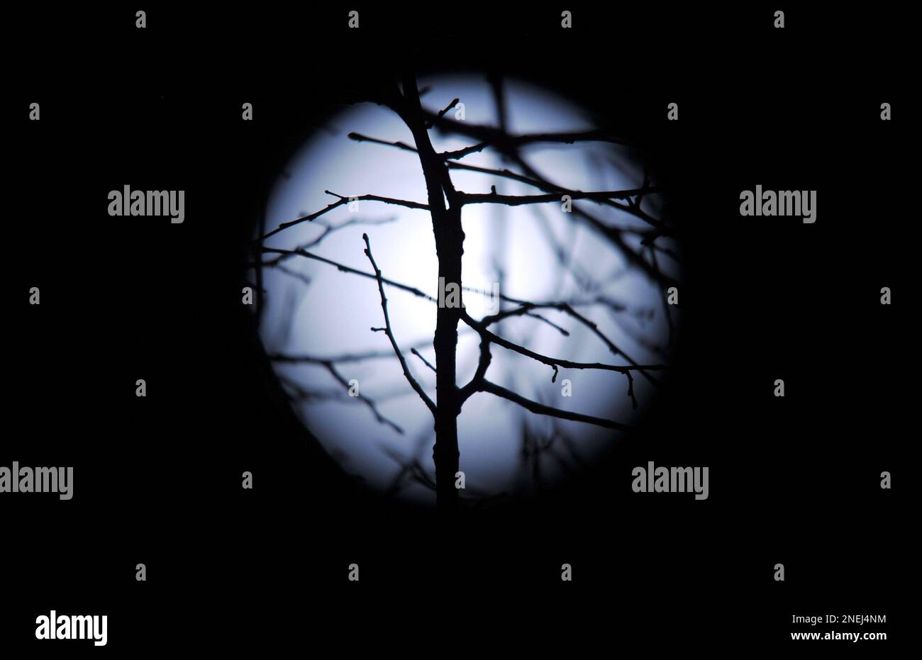 Blue Moon New Years Eve