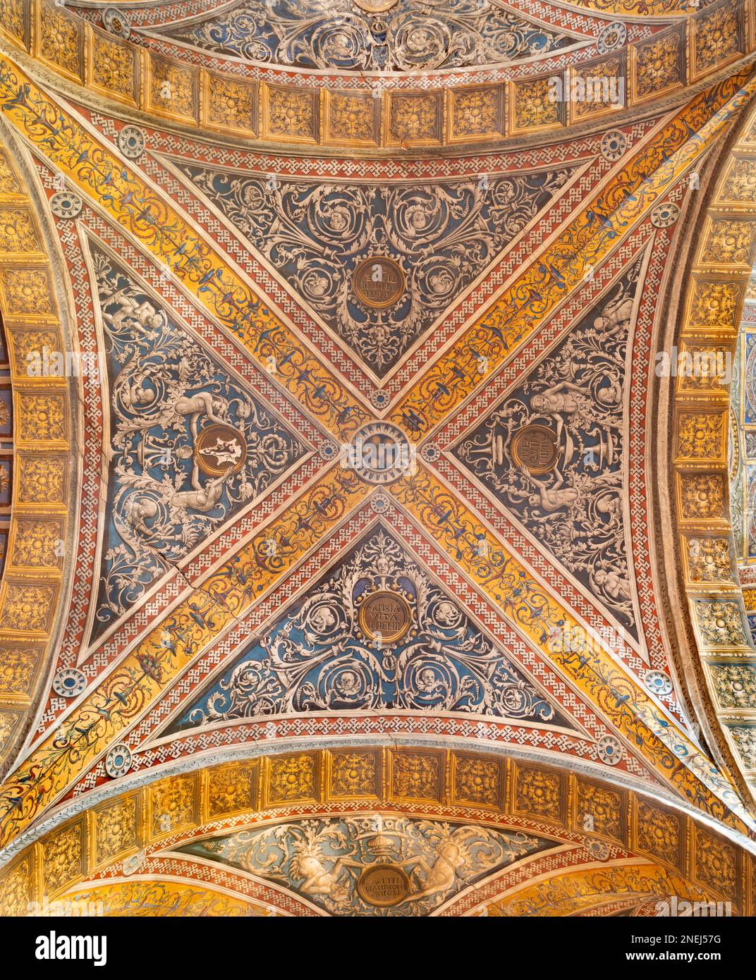 Grotesque ornament hi-res stock photography and images - Alamy