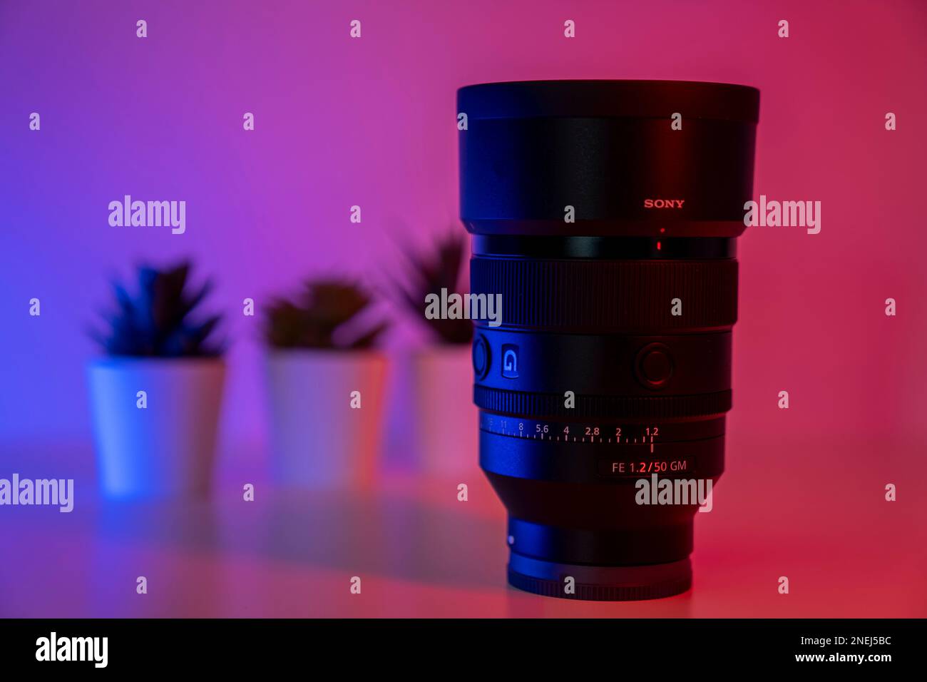 Sony G-Master SEL FE 50mm f 1.2 GM lens. Selective focus photo close up ...