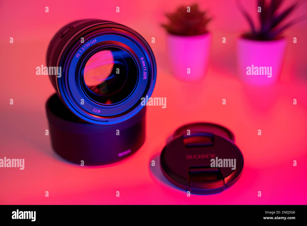 Sony G-Master SEL FE 50mm f 1.2 GM lens. Selective focus photo close up ...