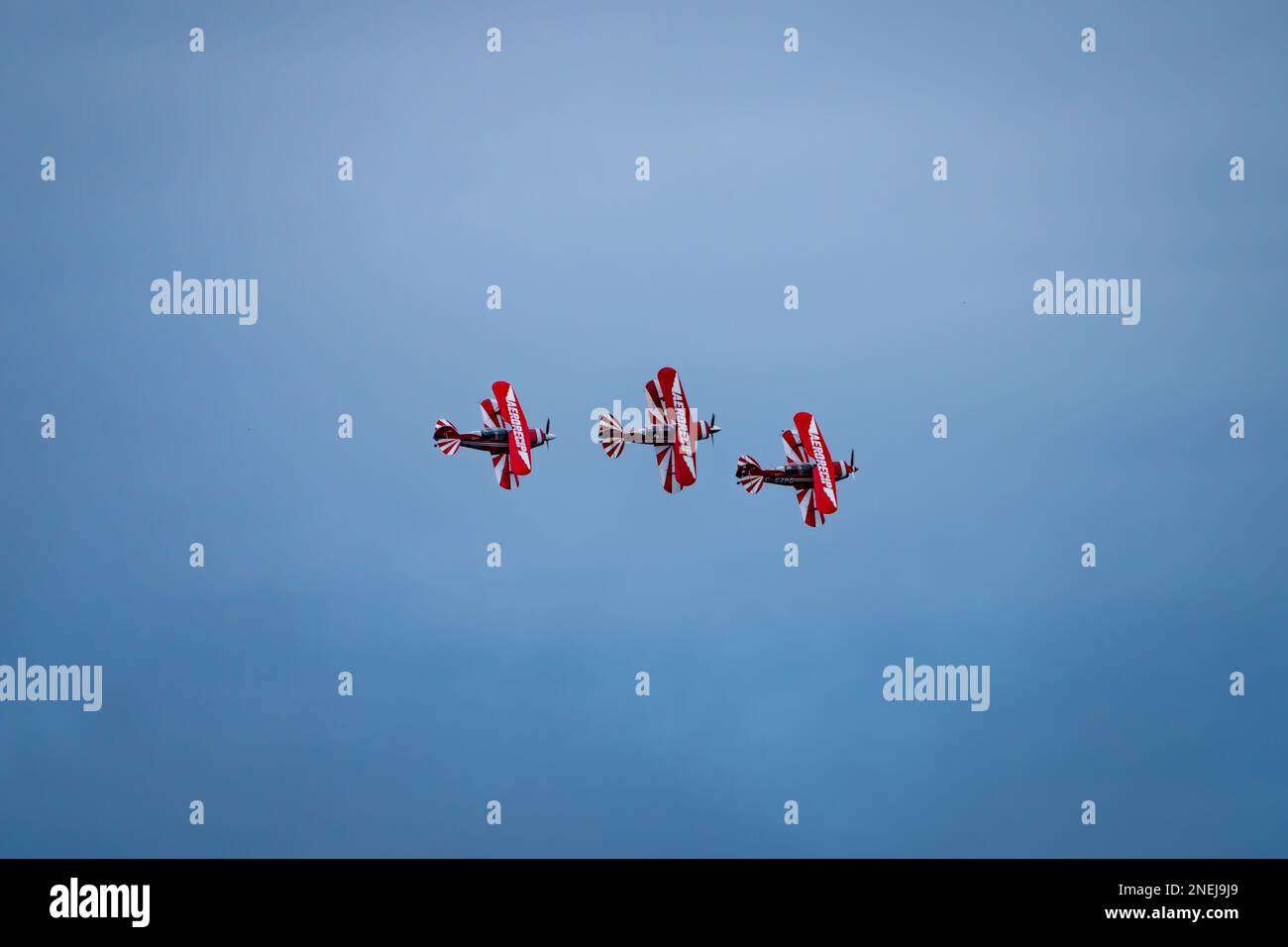 An acrobatic Aviation team flying close while performing stunts in red ...