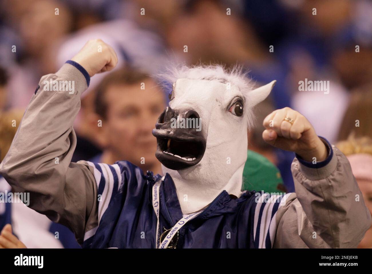 Indianapolis Colts Horse Logo