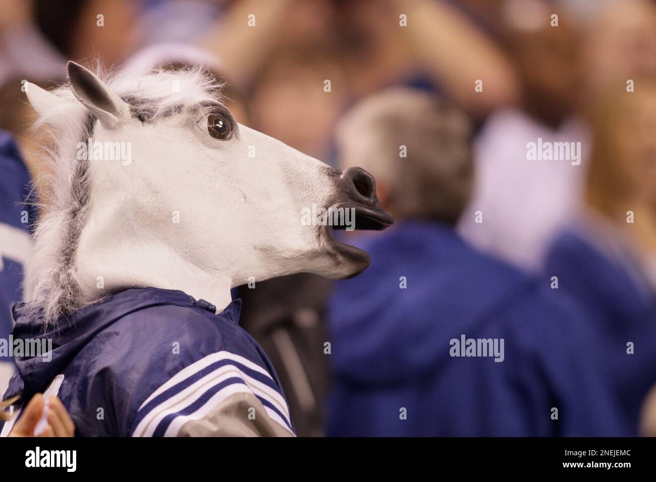 Indianapolis Colts Horse Logo