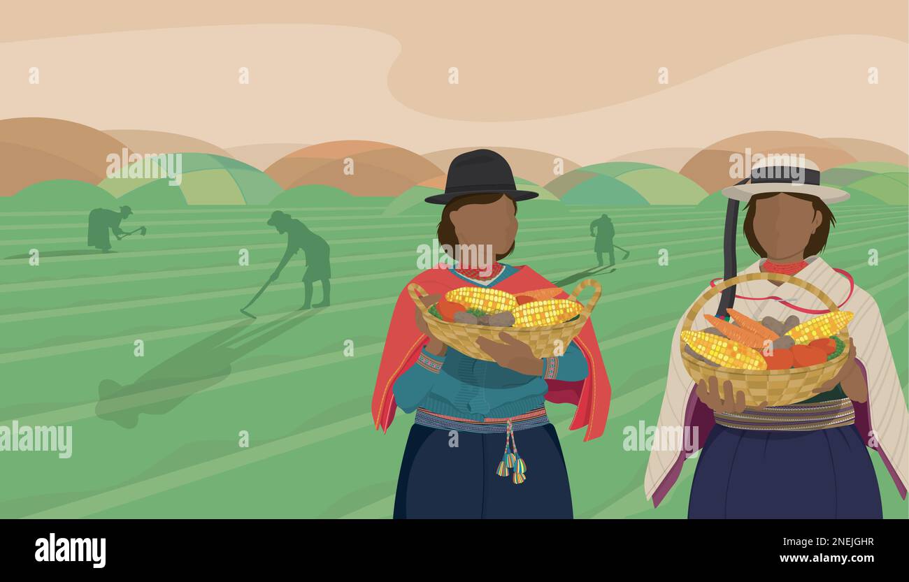 Indigenous women from Ecuador carrying baskets with corn potatoes ...