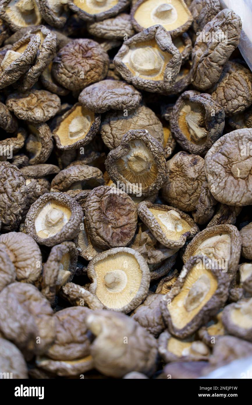 Dried shiitake mushrooms food background. High quality photo Stock ...