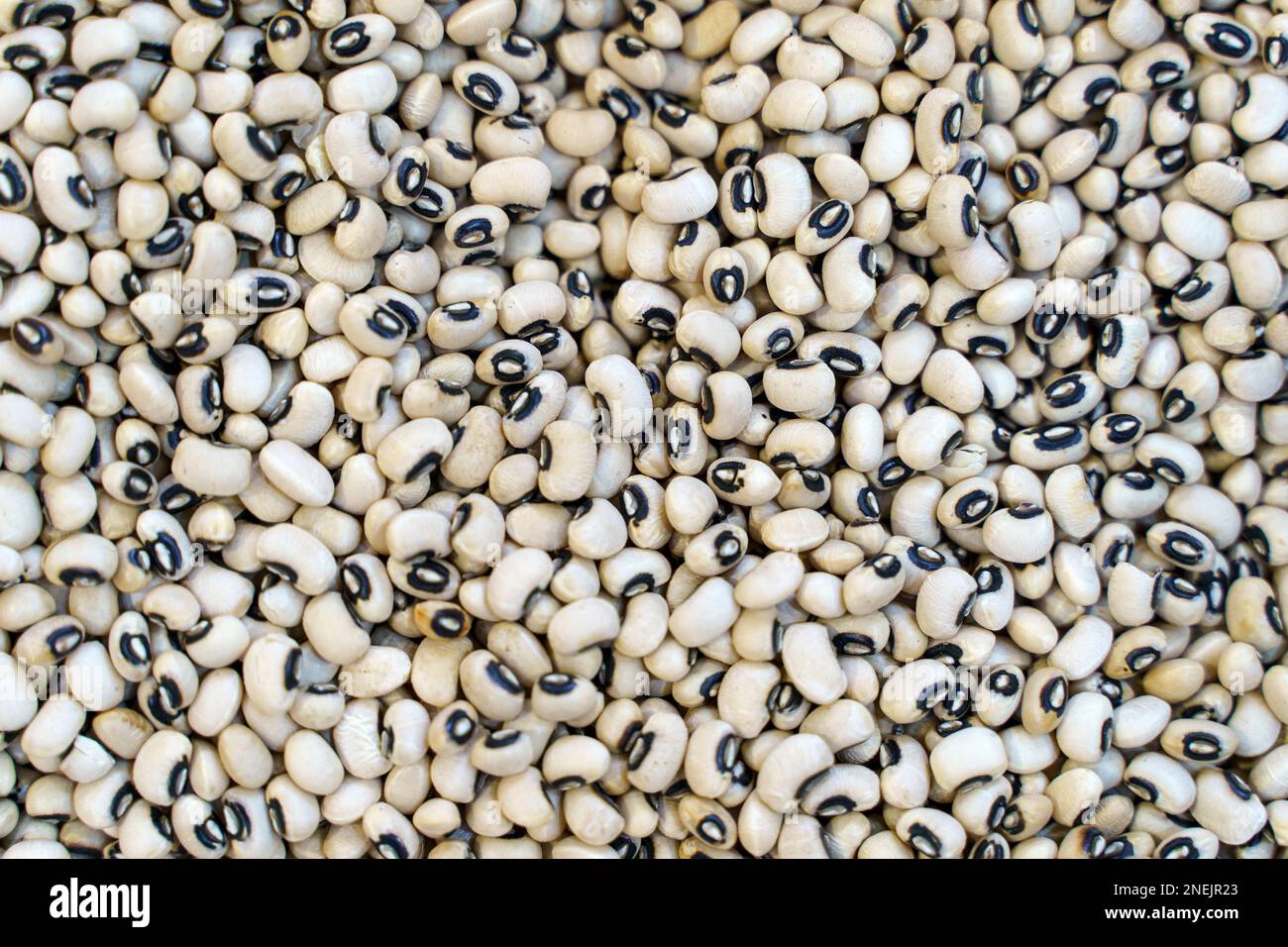 Bean vigna background. White beans at the food market. High quality ...
