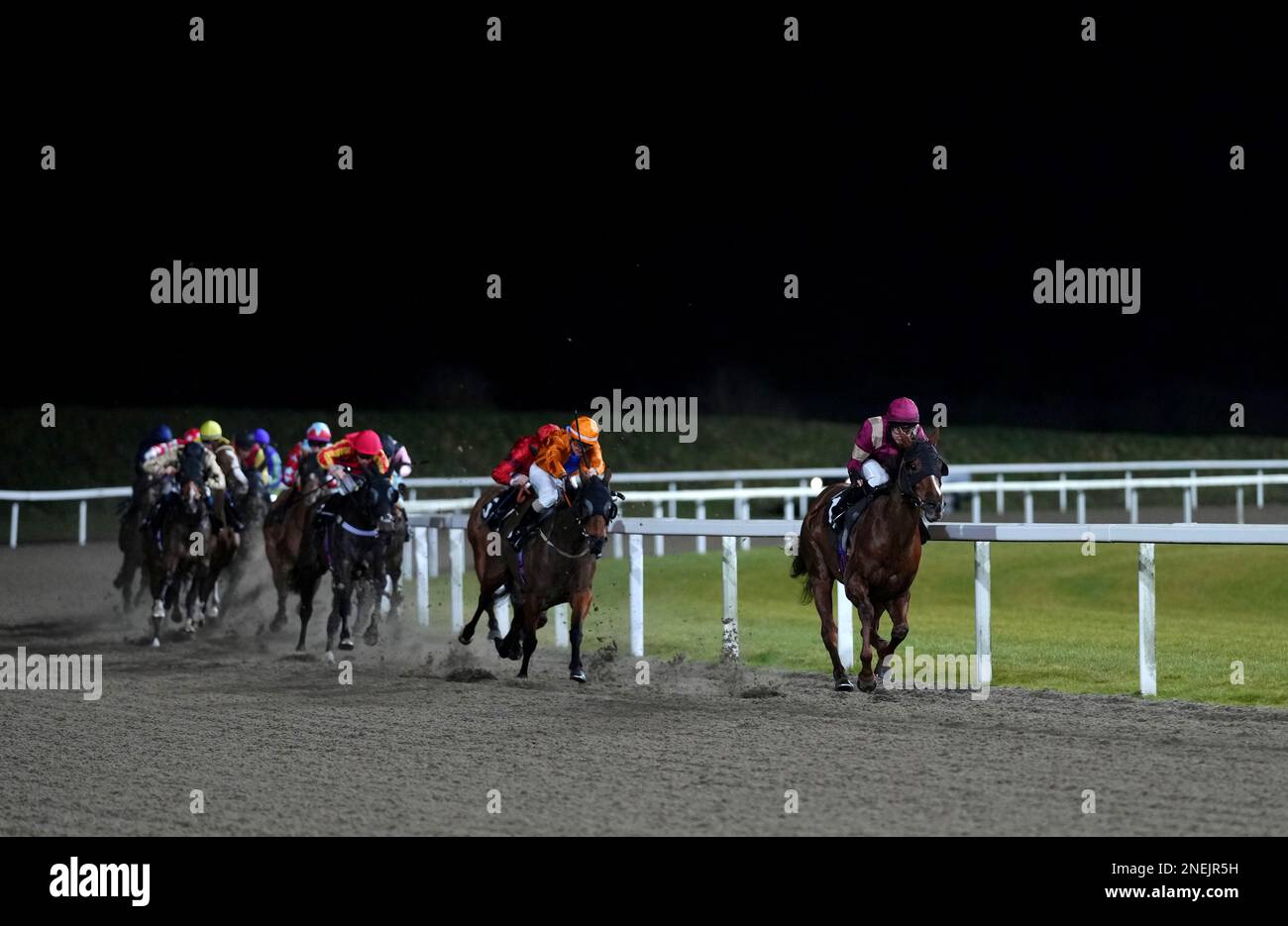 The racing welfare classified stakes hi-res stock photography and ...