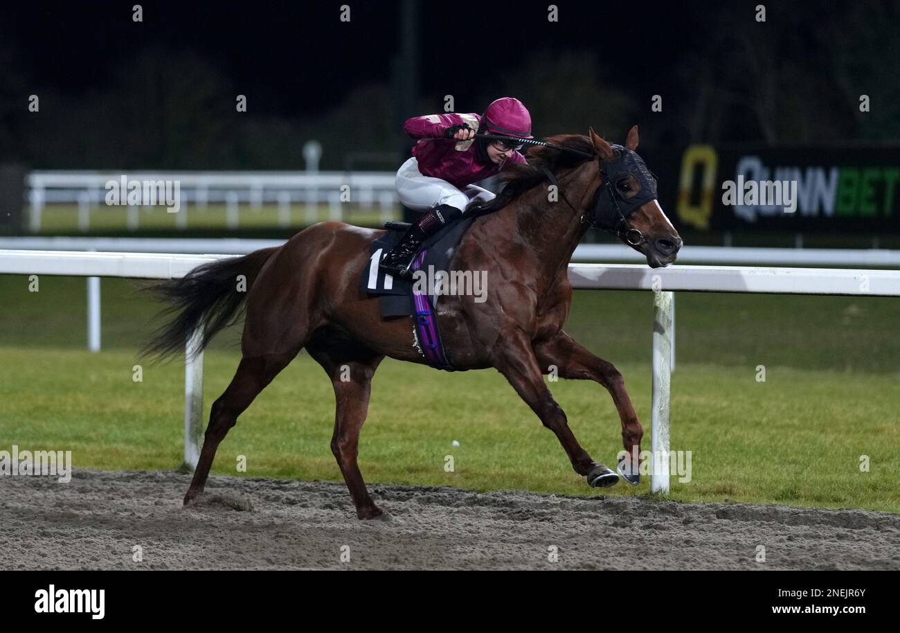 The racing welfare classified stakes hi-res stock photography and ...