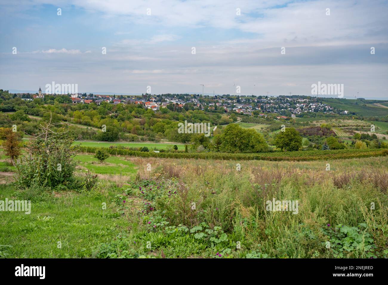 Cityscape mainz Zornheim with agricultural field, trees and plants in ...