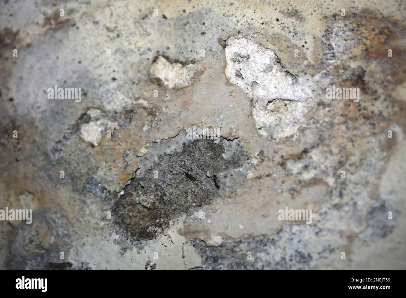 Old vintage damaged white wall with plaster texture background stock ...