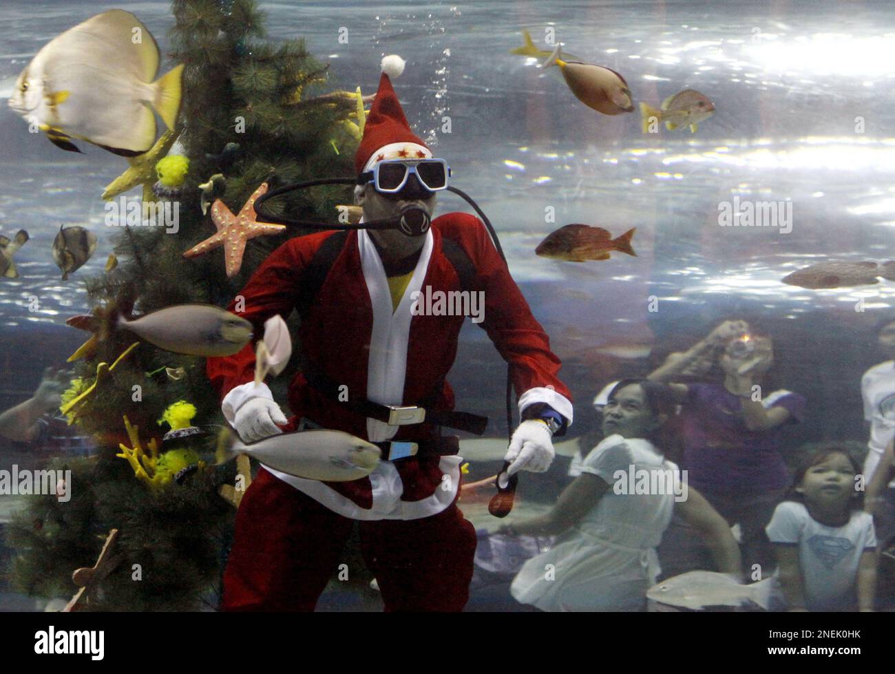 A crowd looks at a Filipino diver wearing a Santa Claus costume inside ...