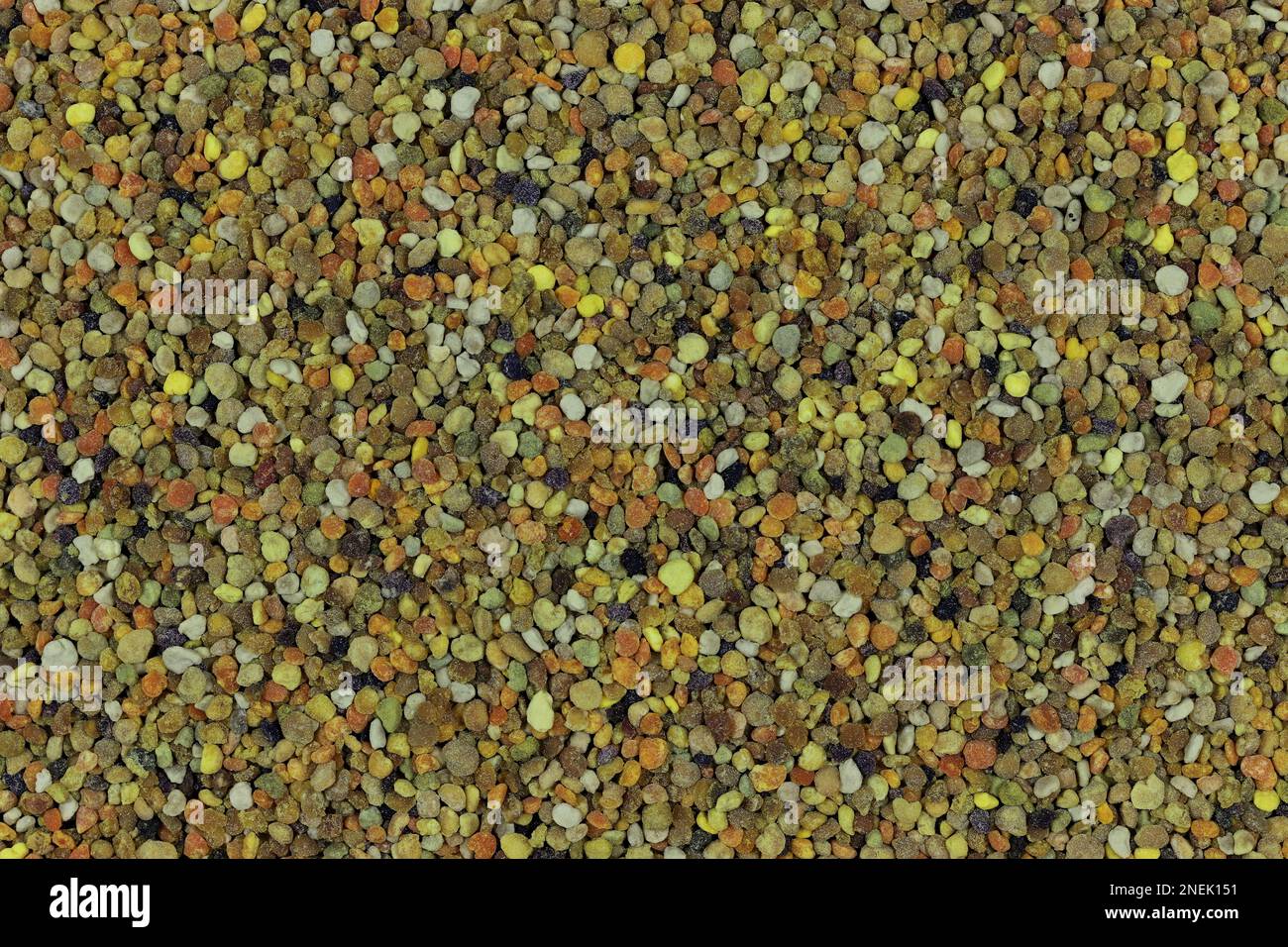 Pollen texture hi-res stock photography and images - Alamy