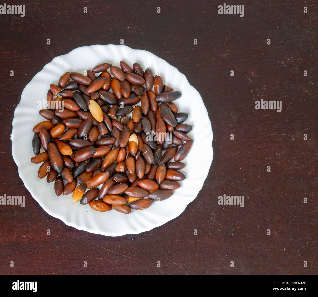 Roasted baru (Dipteryx alata) chestnuts, rotating on the white plate ...