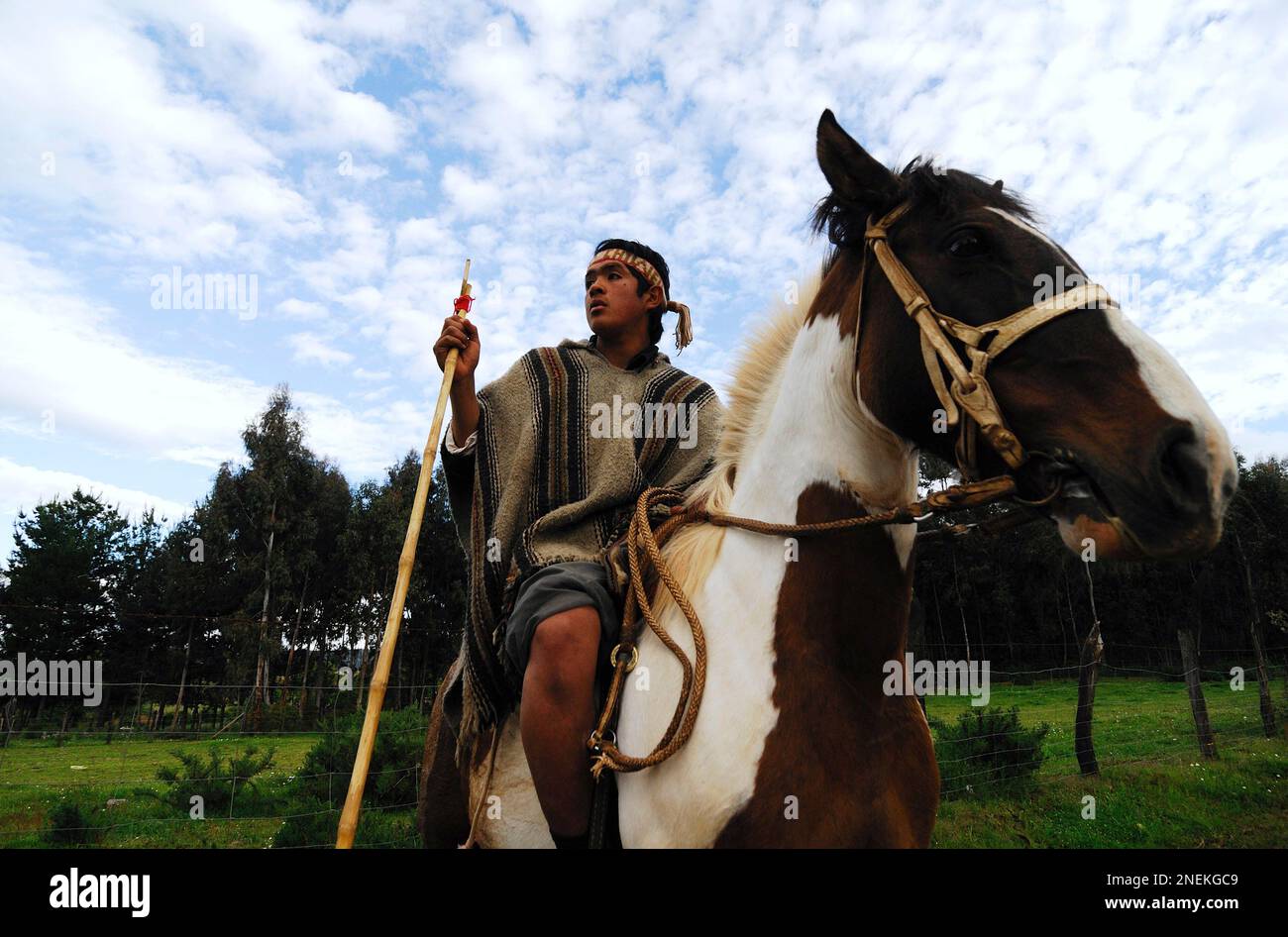 FILE - In this Nov. 13, 2009 photo, a young Mapuche Weichafe, or ...