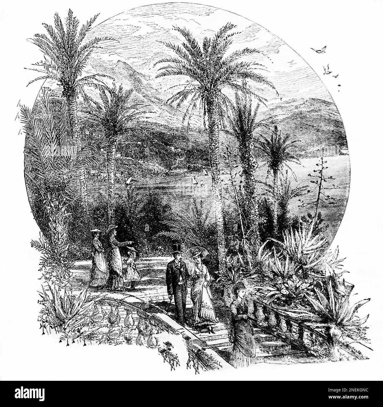 A 19th sketch depicting people walking in a park, entitled, Monte Carlo ...
